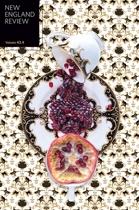 New England Review Presents Winter Issue | Middlebury News and Announcements